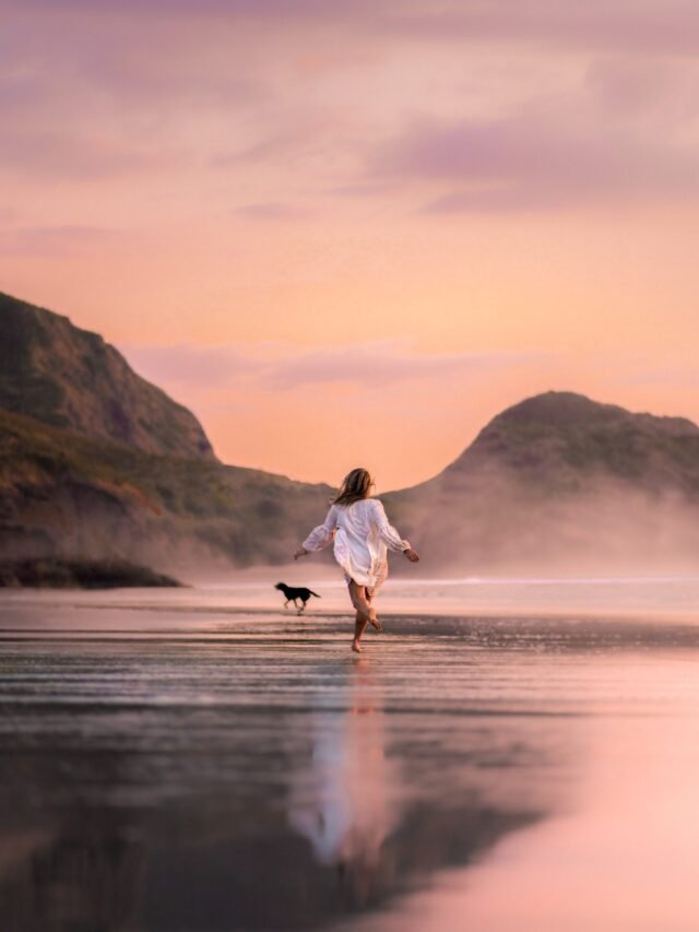 10 Best Places To Take Your Pet On Vacation In 2023 10-best-places-to-take-your-pet-on-vacation-in-2023